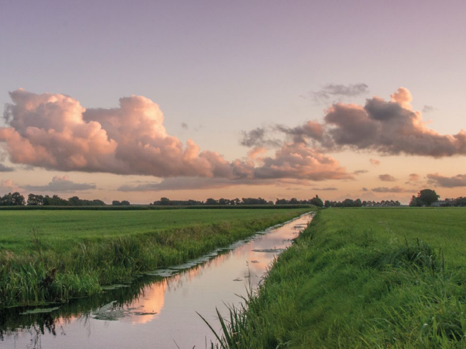 Agroforestry Netwerk Nederland